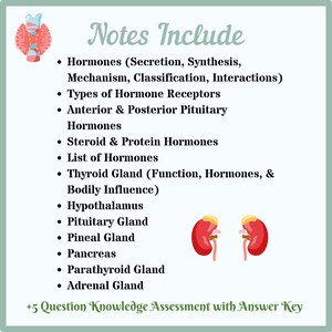 Endocrine System Physiology Notes | Anatomy and Physiology Endocrine ...