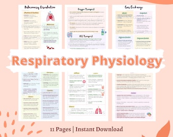 Respiratory Physiology Notes | Anatomy and Physiology Respiratory ...