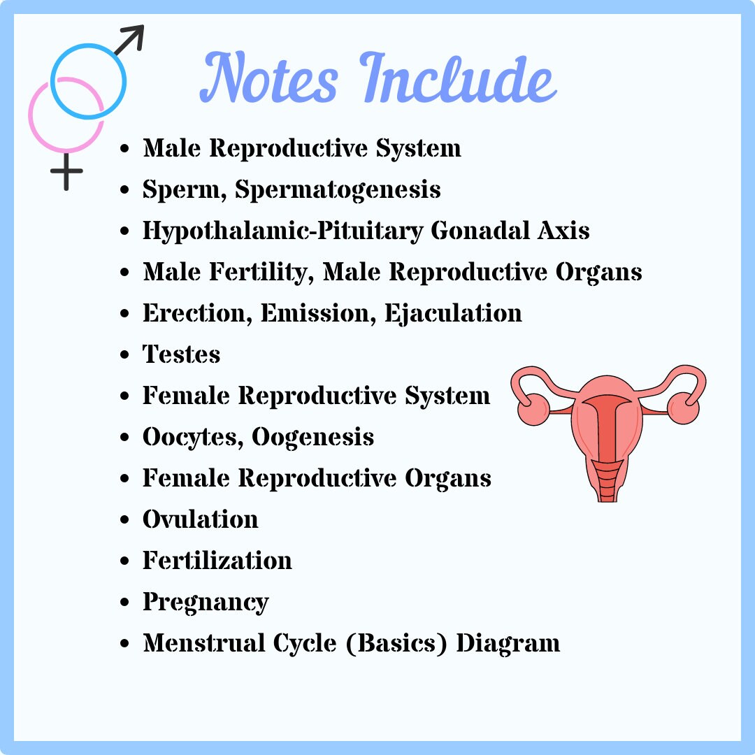 Reproductive Physiology Notes Reproductive System Physiology - Etsy