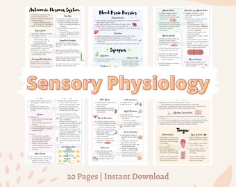 Physiology Mega Bundle Physiology Notes Anatomy and - Etsy