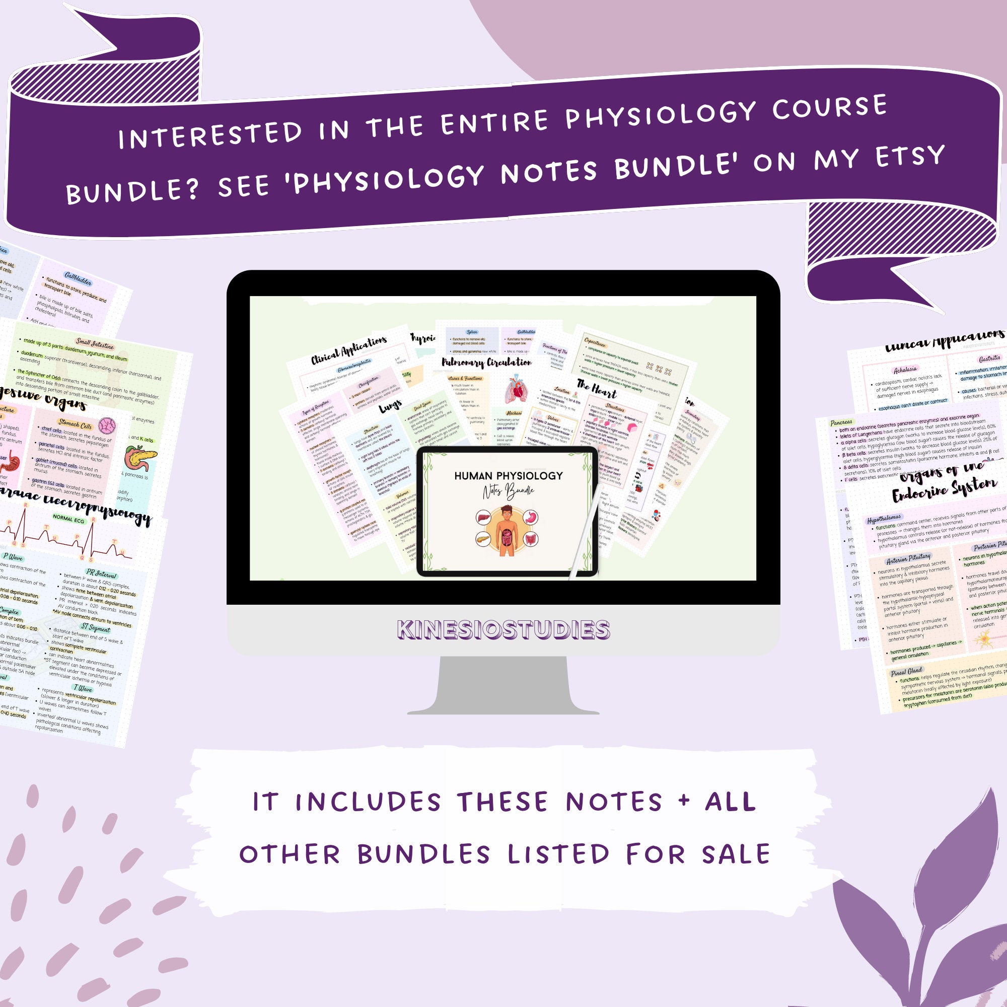 Endocrine System Physiology Notes | Anatomy and Physiology Endocrine ...