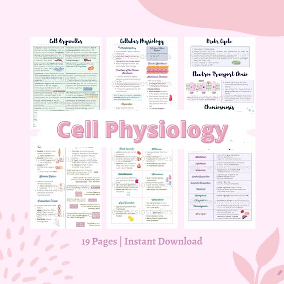 Cellular Physiology Notes Introduction to Physiology Notes | Etsy