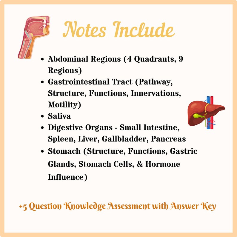 Digestive System Physiology Notes | Gastrointestinal Physiology Notes ...