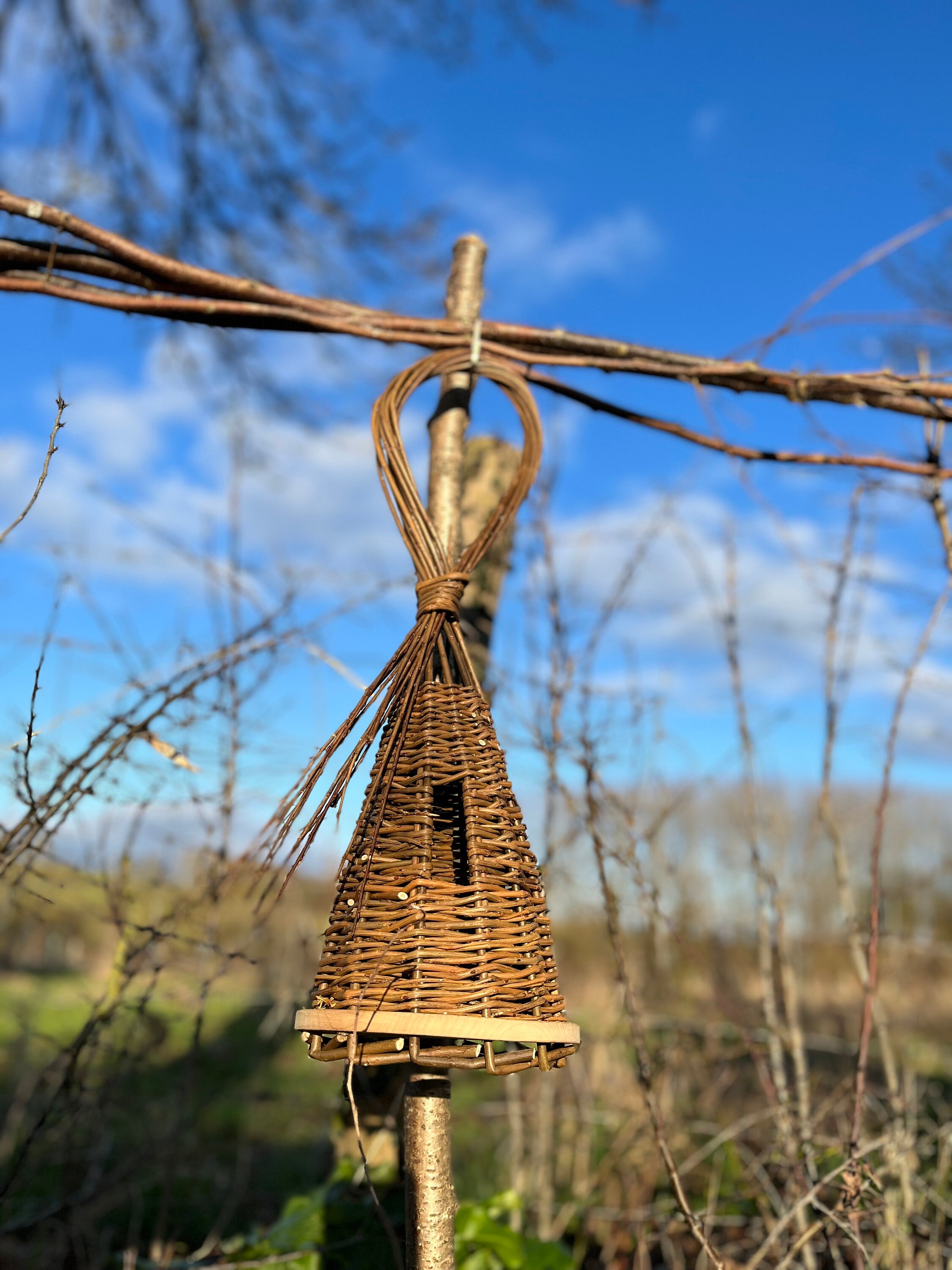 Willow Bird House Kit - Etsy UK