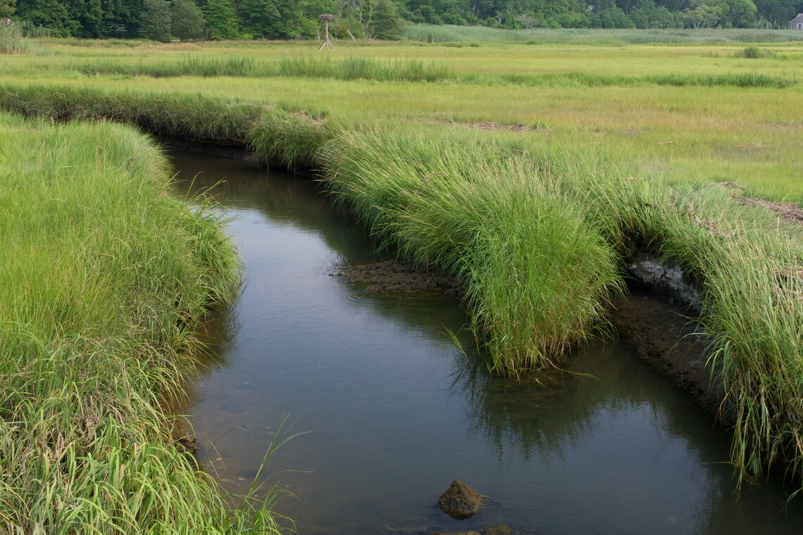 Great Marshes, East Sandwich, Cape Cod - Etsy