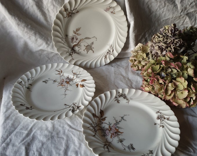 SET 3 Antique Haviland Limoges Porcelain Plates 19thc Haviland & Co ...