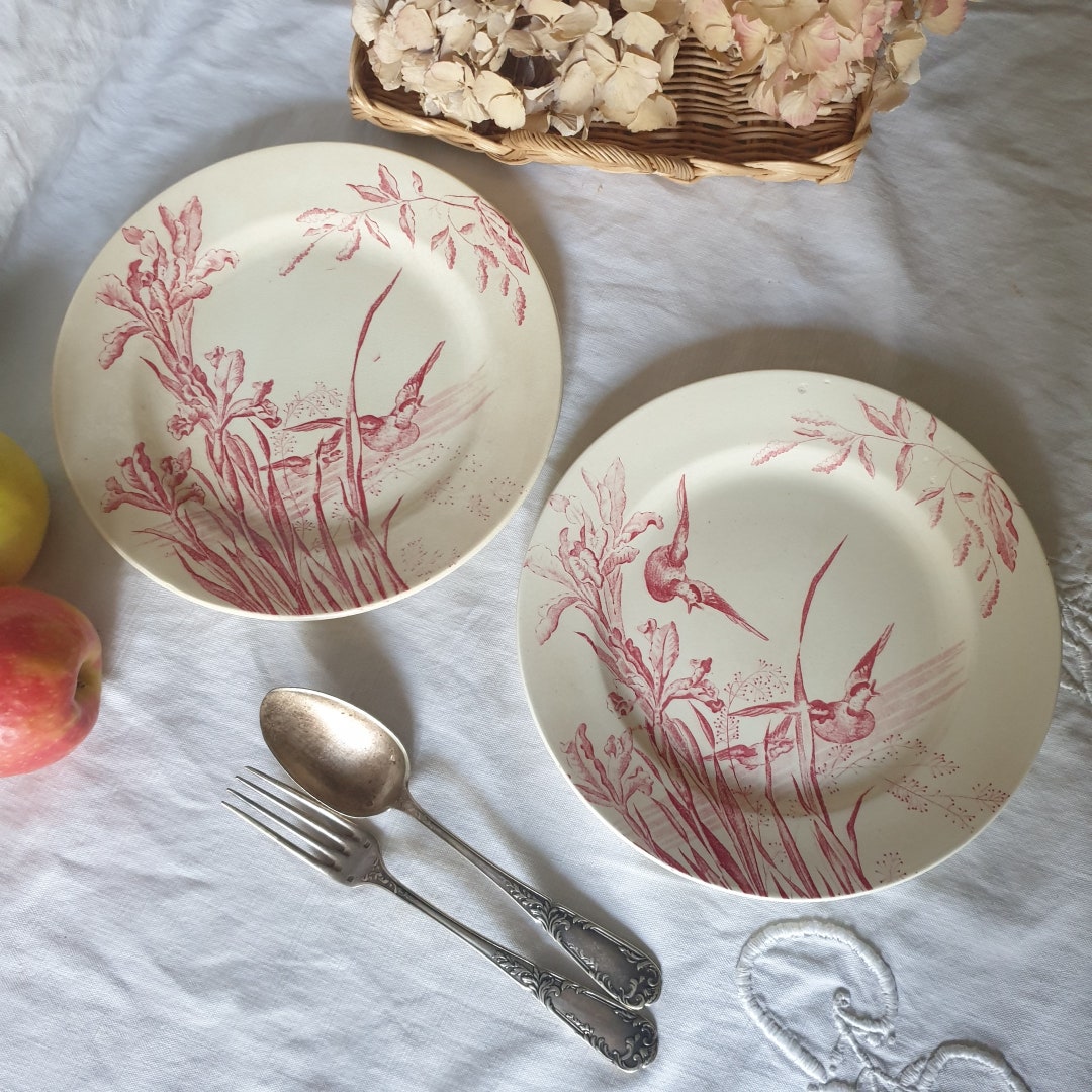 PAIR French Antique Bird Pattern Plates, Iris Flower, Ducks in Flight ...