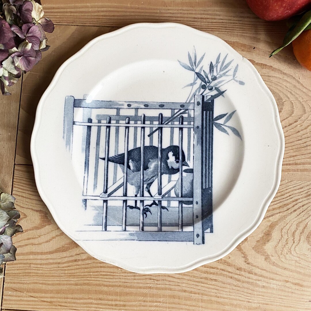 Antique Pierre Mallett 'canova' Bird Plate Blue Transferware ...
