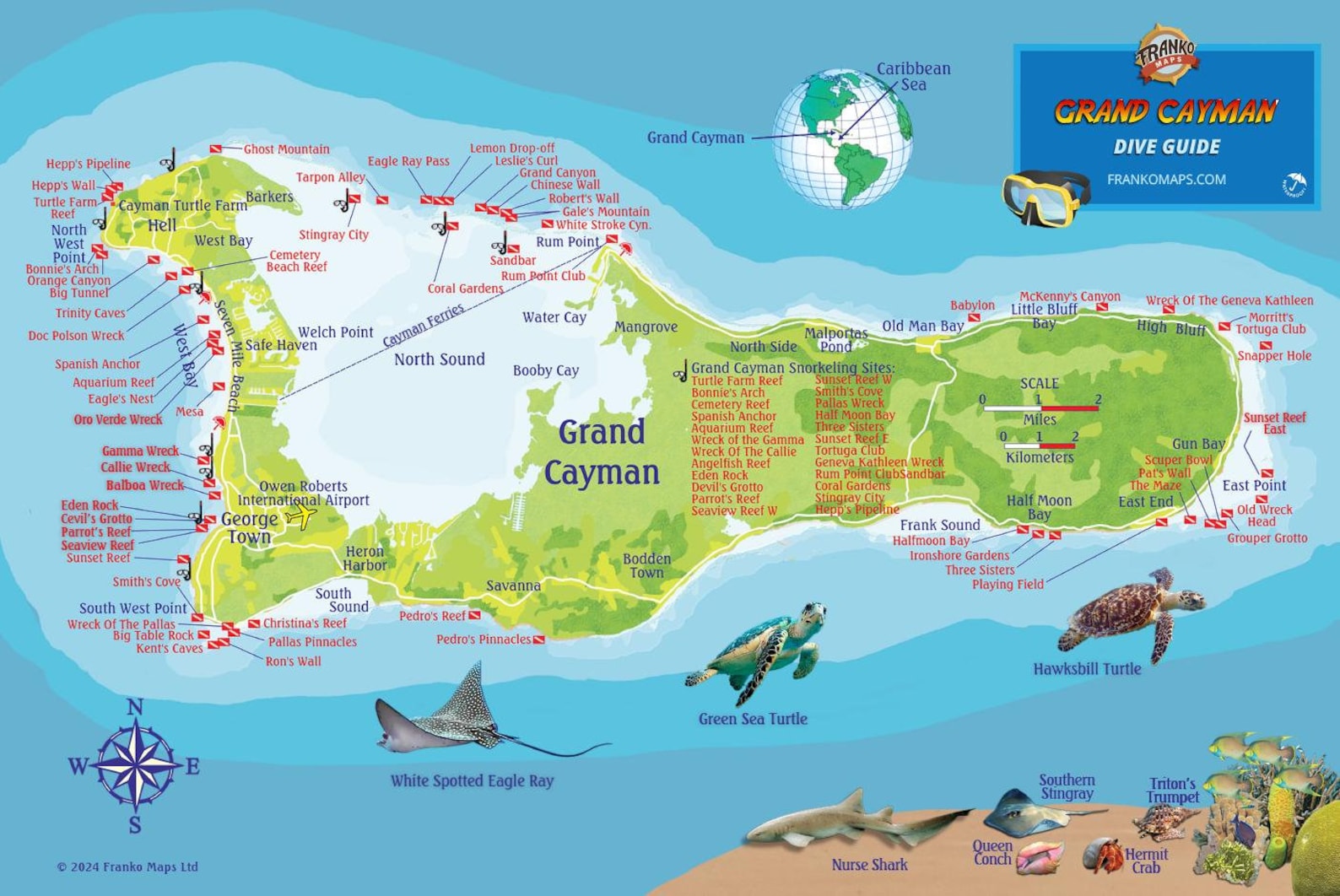 Grand Cayman Island Fish & Map Poster - Etsy