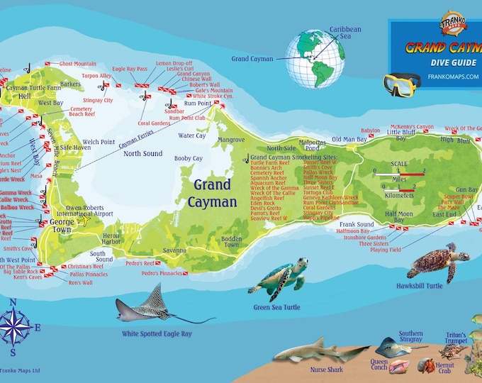 Grand Cayman Island Fish & Map Poster - Etsy