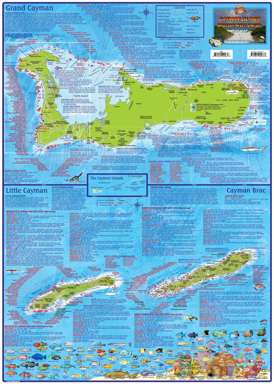Cayman Islands Laminated Wall Map - Etsy