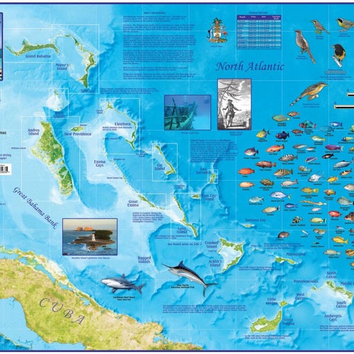 Map of the Bahamas From the 1700s 155 Ancient Digital Image - Etsy