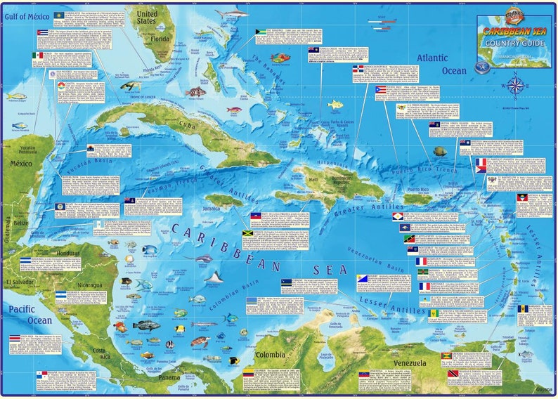 Caribbean Sea Wall Map - Etsy