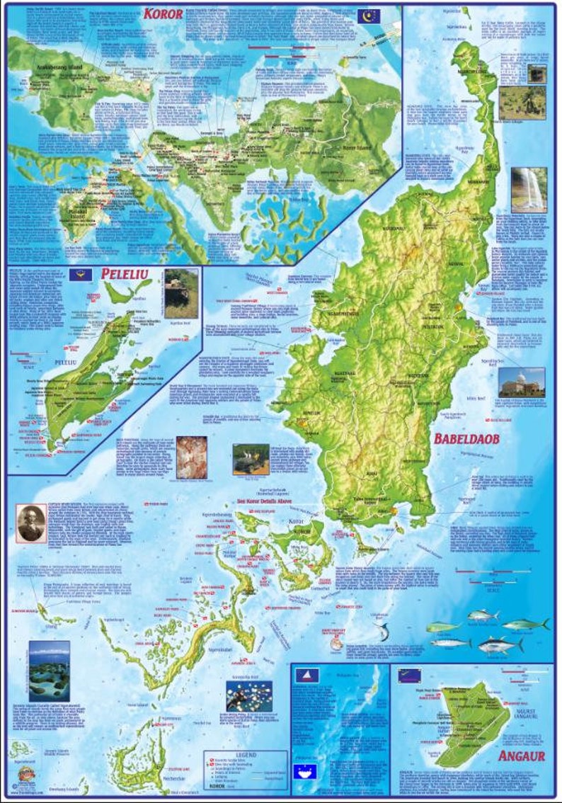 Palau Laminated Wall Map - Etsy