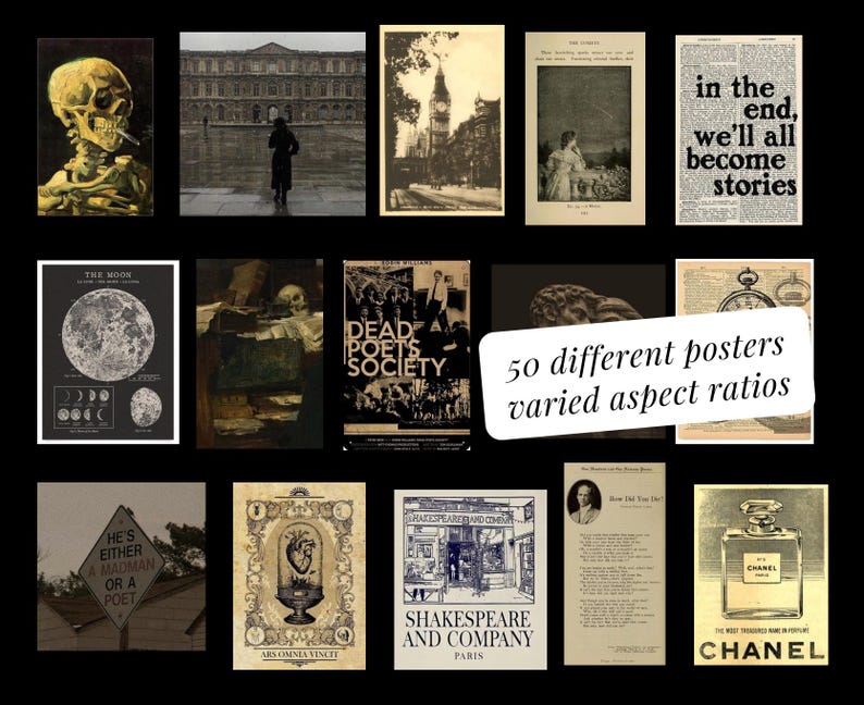 50 PCS Dark Academia Wall Collage Kit, Grunge, Fairycore, Academics ...