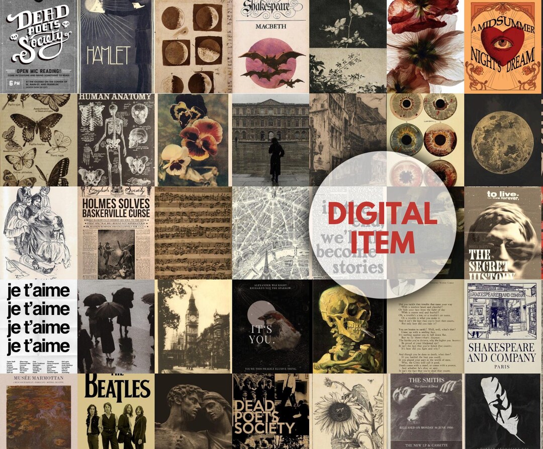 50 PCS Dark Academia Wall Collage Kit, Grunge, Fairycore, Academics ...