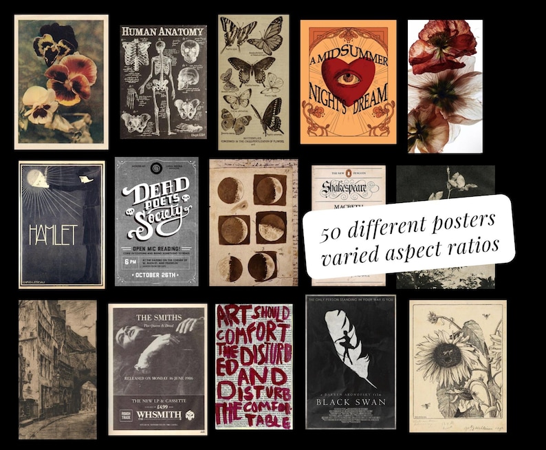 50 PCS Dark Academia Wall Collage Kit, Grunge, Fairycore, Academics ...