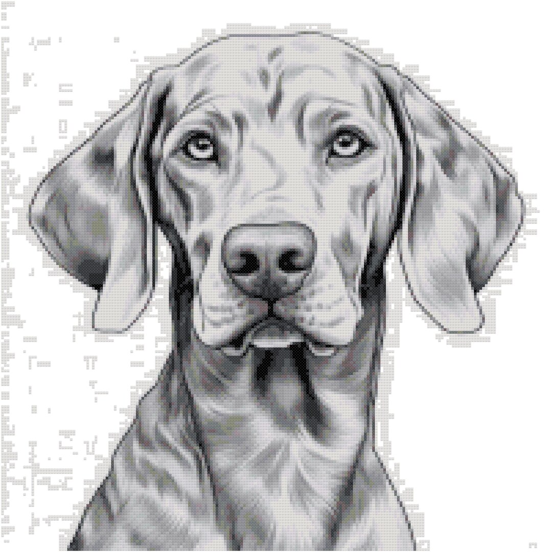 Plott Hound Cross Stitch Pattern PDF Pattern Digital Download - Etsy