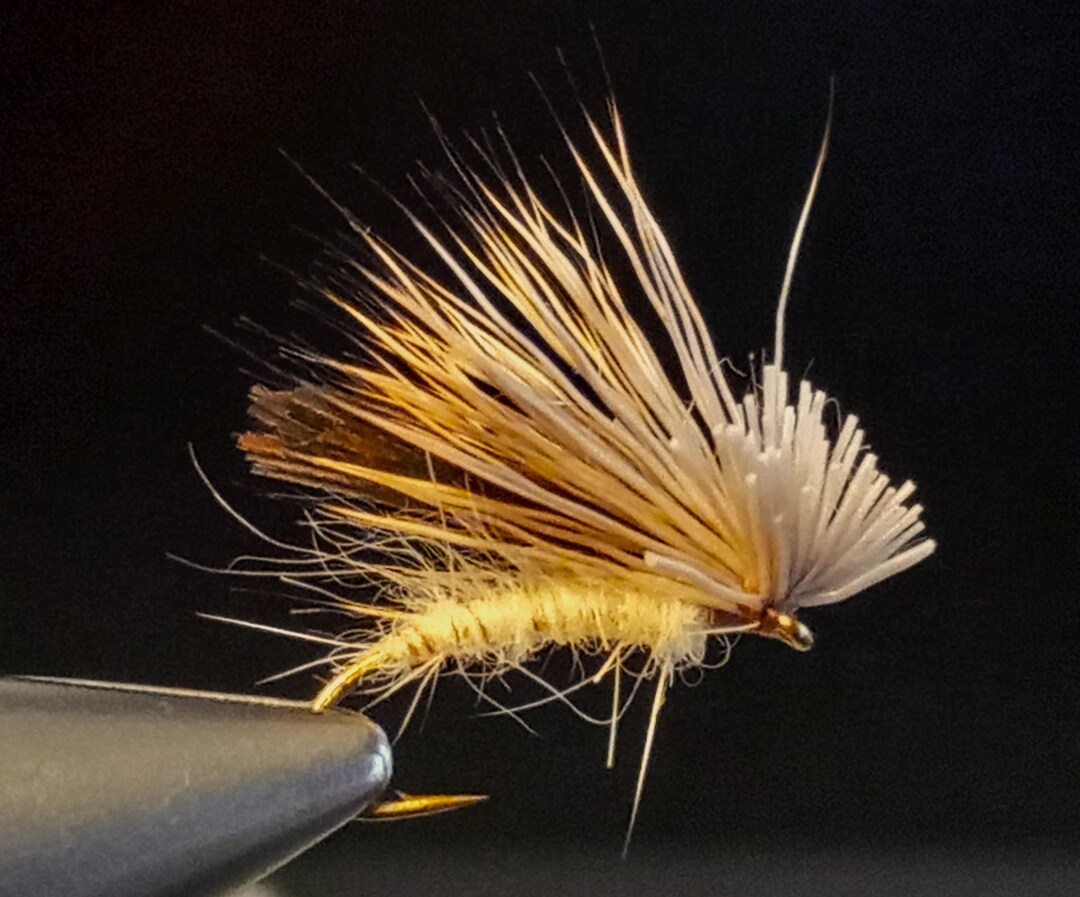 3- Letort Hopper Dry Fly. Dry Flies. - Etsy