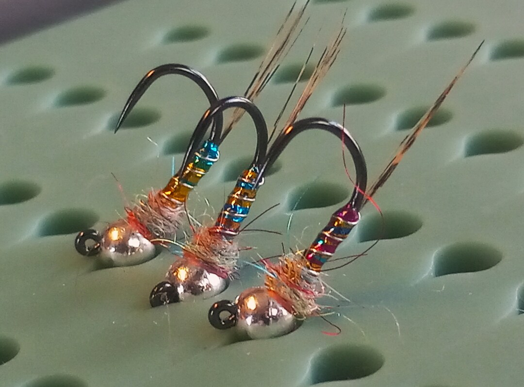 3- Rainbow Frenchy Jig Nymph Fly. Euro Nymphs. - Etsy