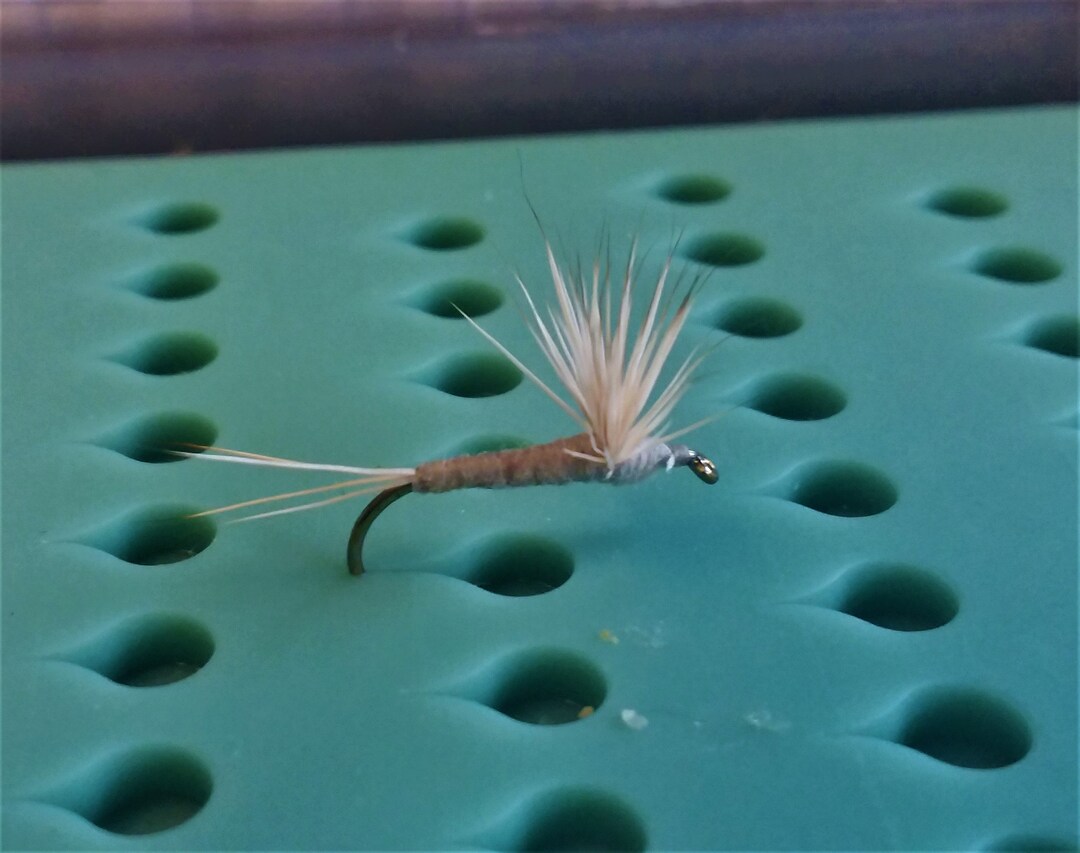 3- White Fly Comparadun Dry Fly. - Etsy