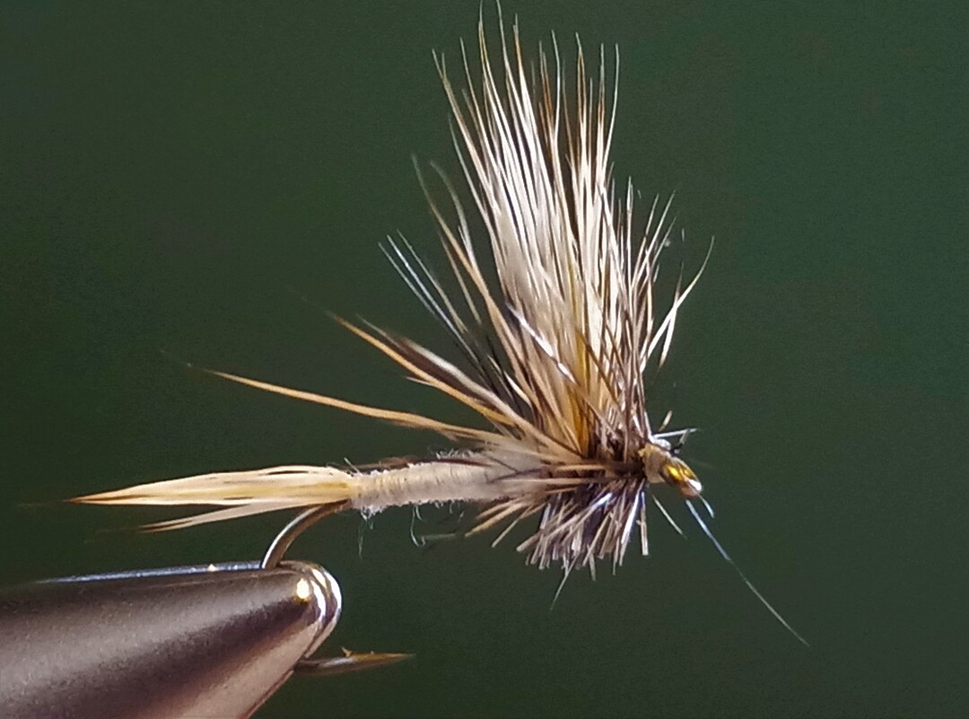 3- White Fly Comparadun Variant. Dry Flies. - Etsy