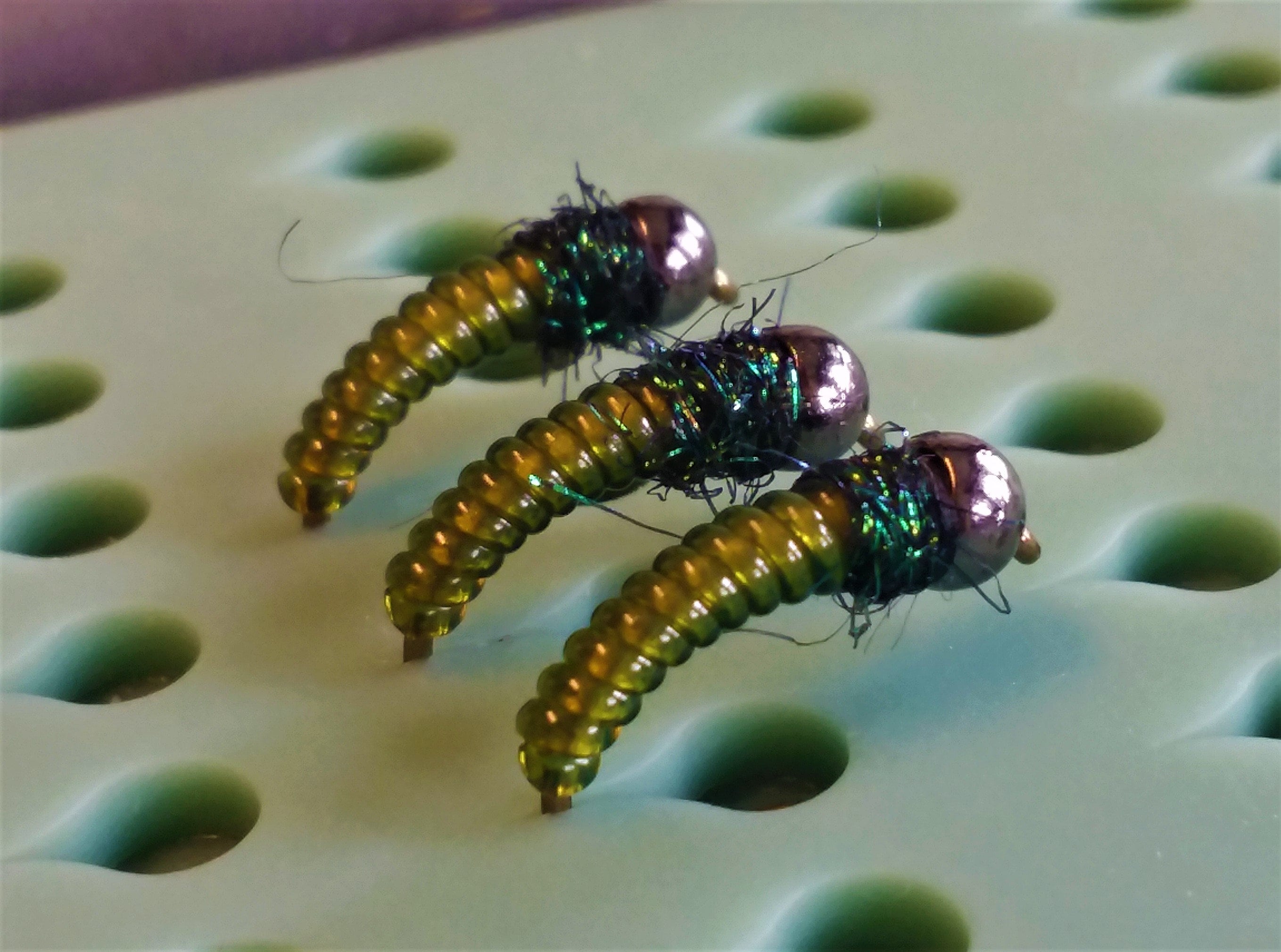 3- Tungsten Gummy Caddis Larvae. Caddis Flies. Nymph Flies. Euro Nymphs ...