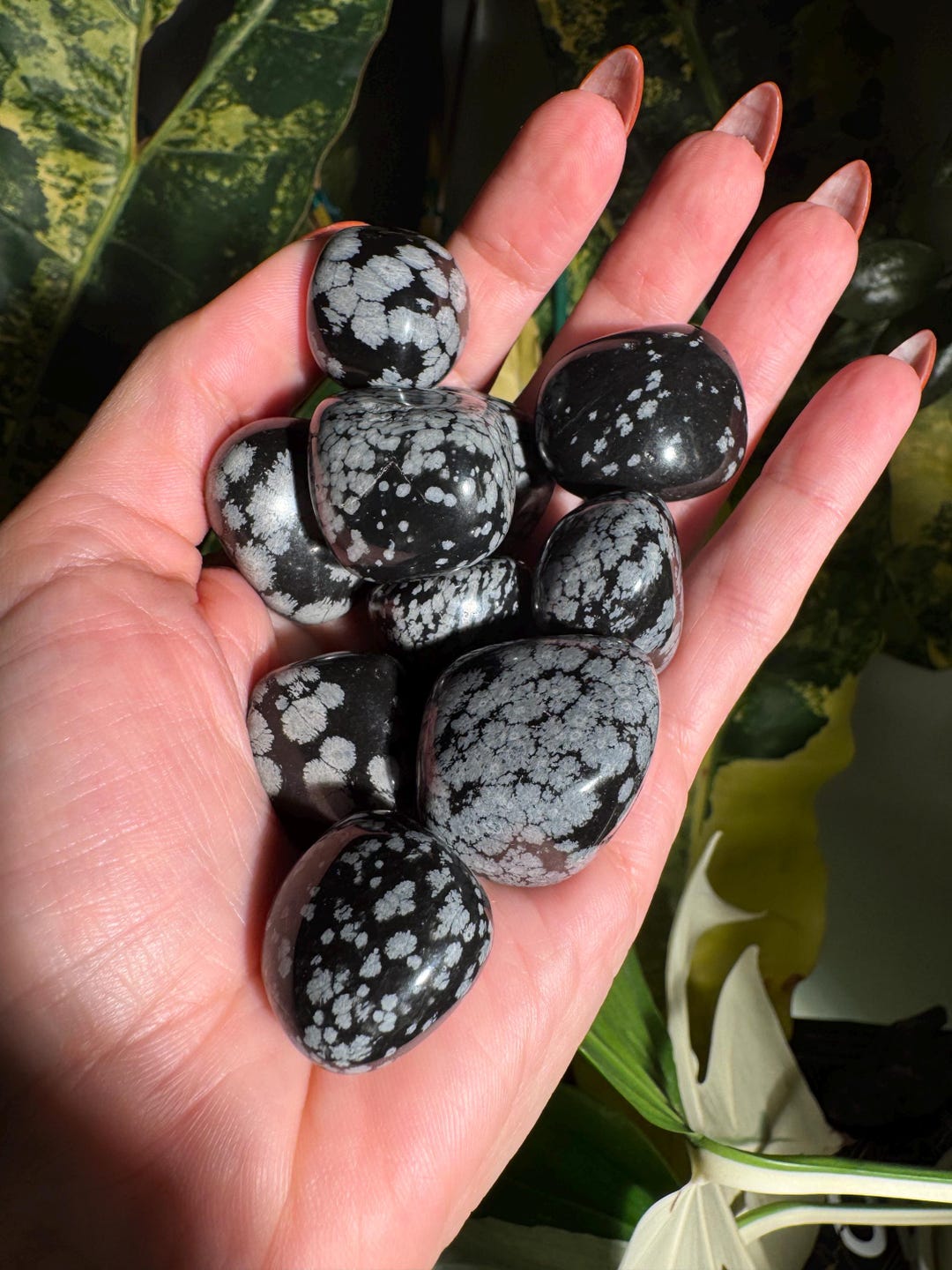 Snowflake Obsidian Tumbled Stone *intuitively Chosen* - US SELLER - Etsy