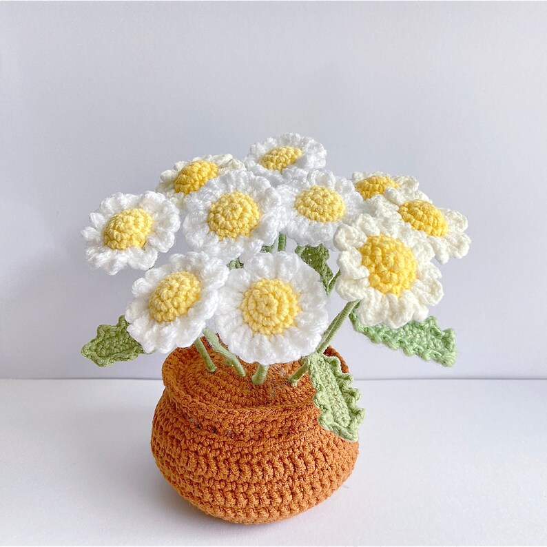 Crochet Flower Pattern. Crochet Daisy in a Pot. Crochet - Etsy