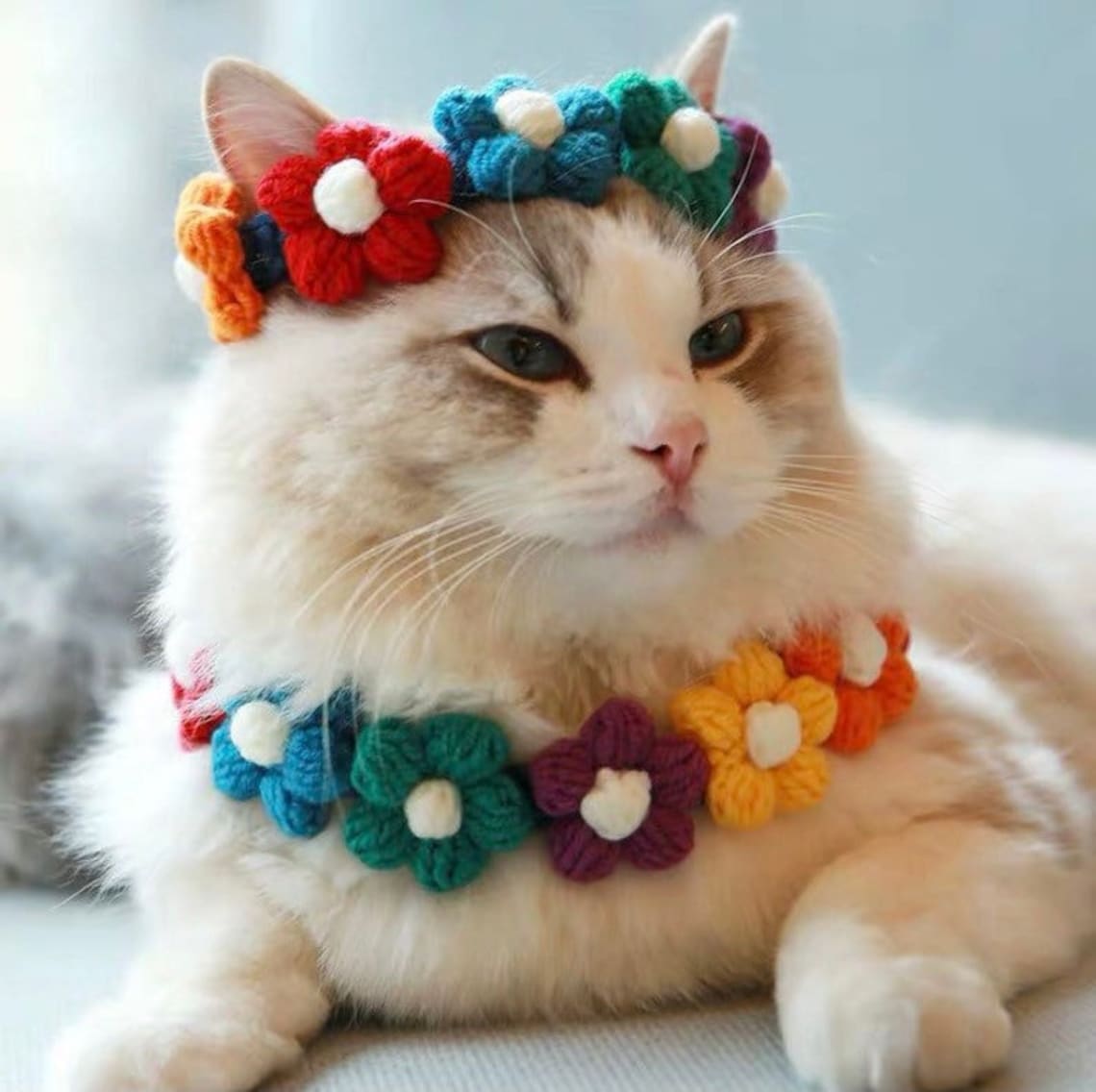 Pet Collar Crochet Pattern English Crochet Dog Collar | Etsy