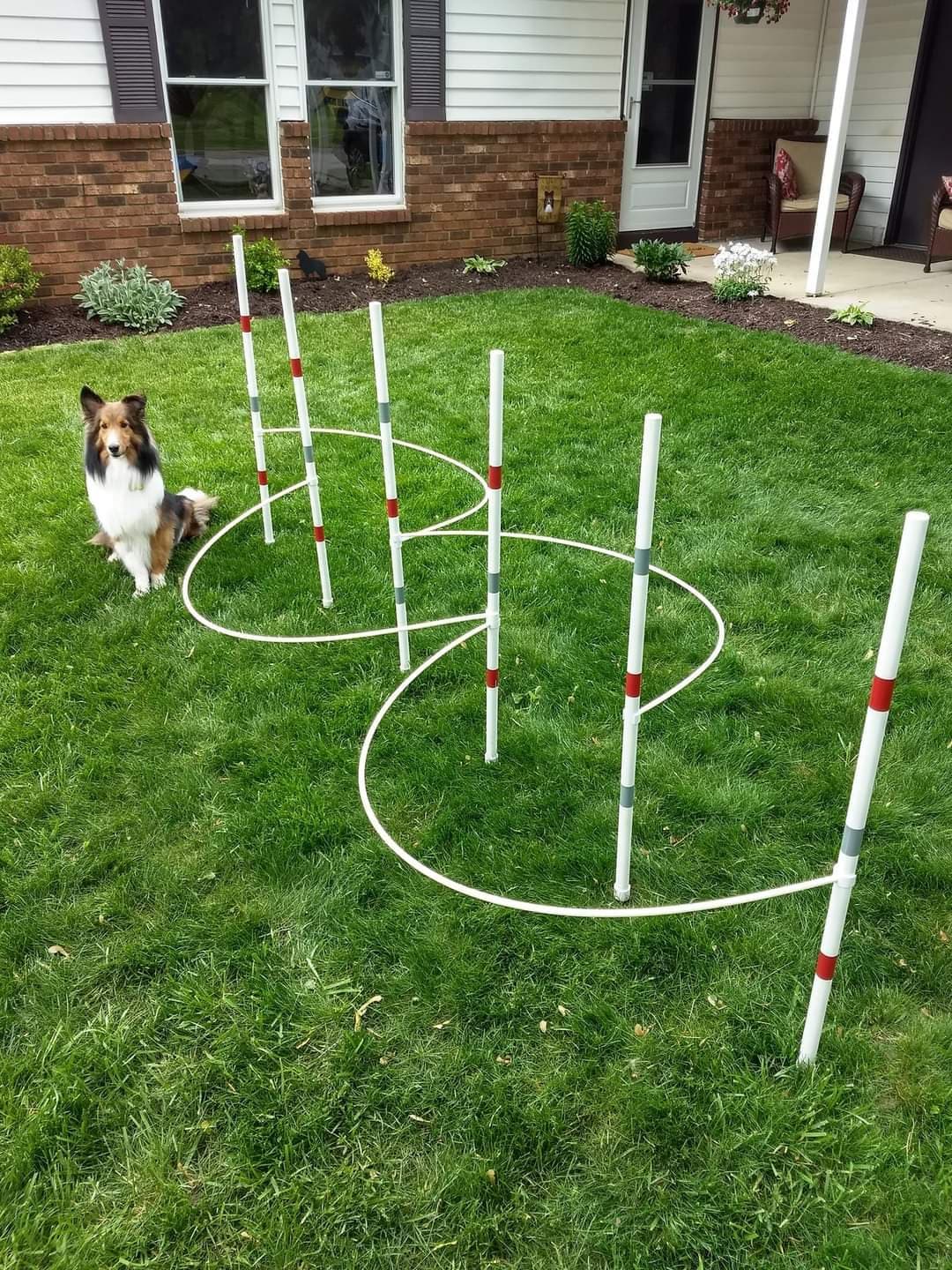 Weave Pole Training Guides Agility - See Item Description for Size Info ...