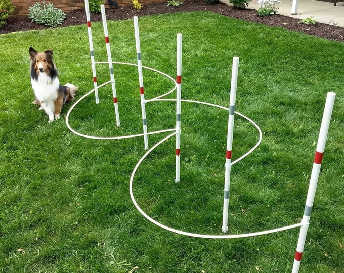Weave Pole Training Guides Agility - See Item Description for Size Info ...