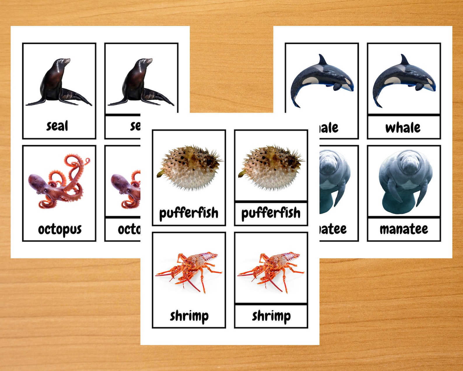 Ocean Animals Theme 3 Part Cards| Printable Digital Download ...