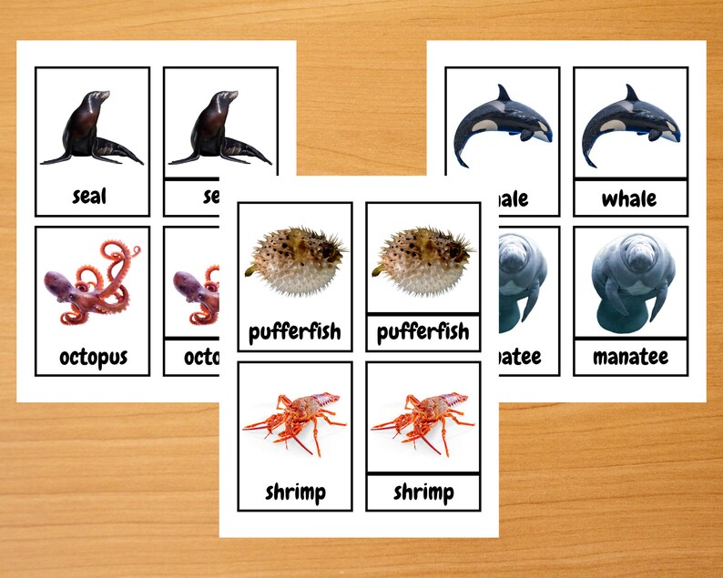 Ocean Animals Theme 3 Part Cards| Printable Digital Download ...