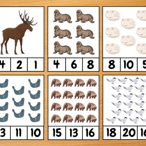 Polar Animals Count and Clip Cards| Child Inspired Printables|math ...