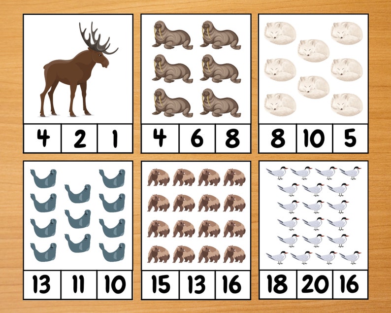 Polar Animals Count and Clip Cards| Child Inspired Printables|math ...