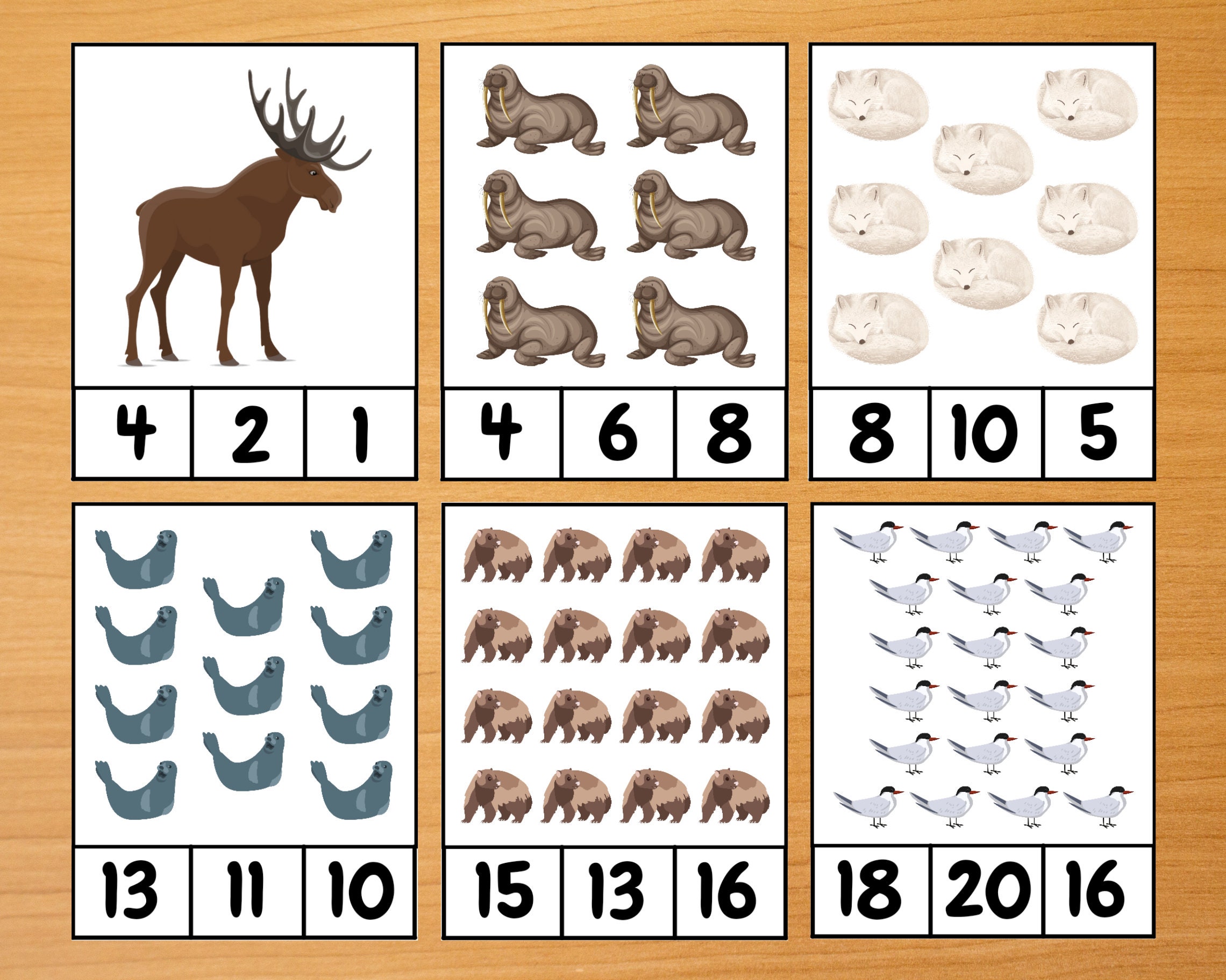 Polar Animals Count and Clip Cards| Child Inspired Printables|math ...