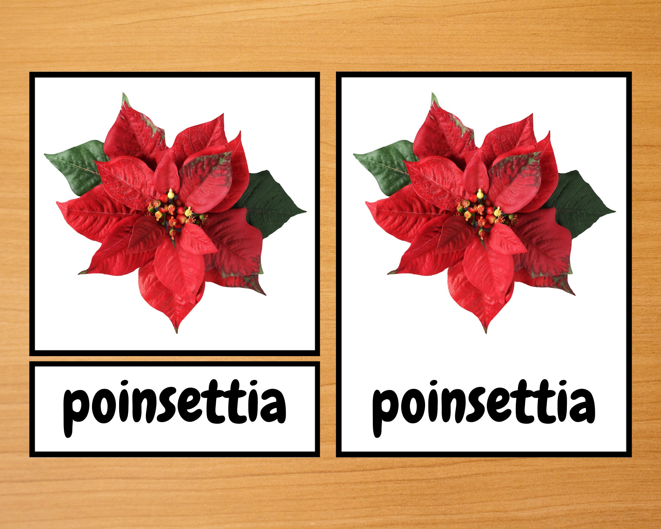 Christmas 3 Part Cards| Child Inspired Printable| Educational Digital ...