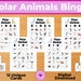 Polar Animals Bingo| Digital Download| Printable Play Based Activity ...