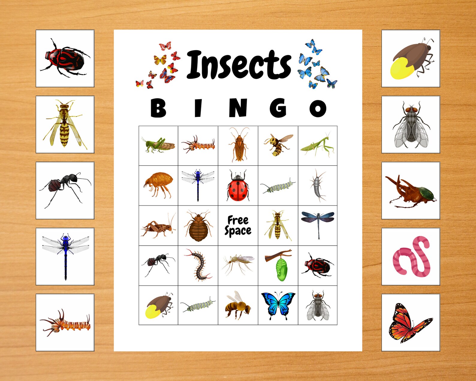 Insects Bingo Digital Download Printable Play Based Activity - Etsy