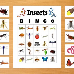 Insects Bingo Digital Download| Printable Play Based Activity ...