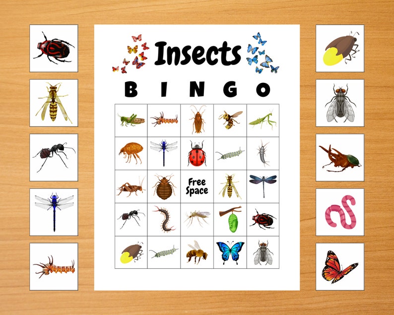 Insects Bingo Digital Download| Printable Play Based Activity ...