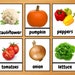 Vegetables Theme 3 Part Cards| Printable Digital Download| Montessori ...
