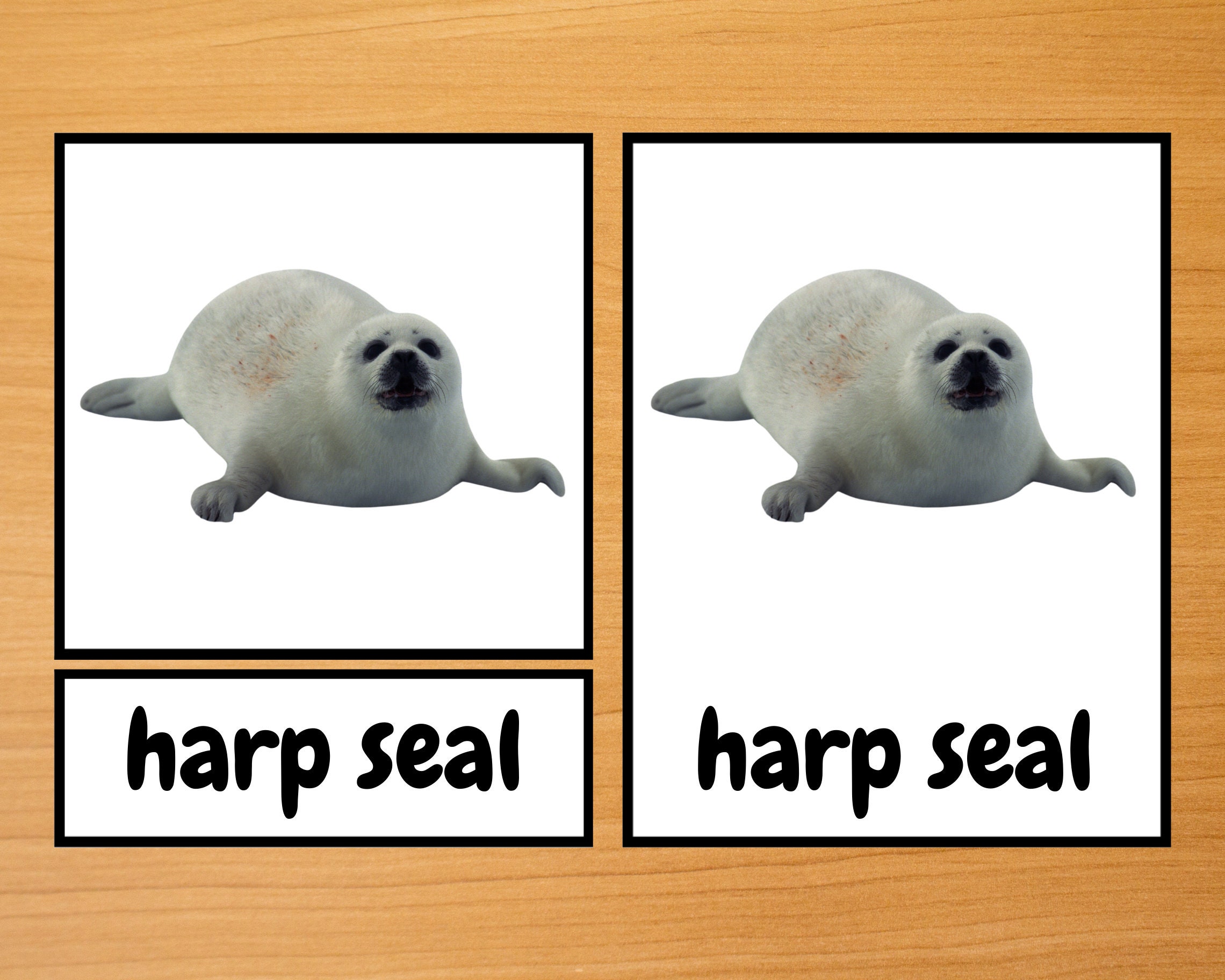 Polar Animals 3 Part Cards| Child Inspired Printable| Educational ...