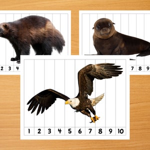 Polar Animals Number Sequence Puzzles| Child Inspired Printables ...