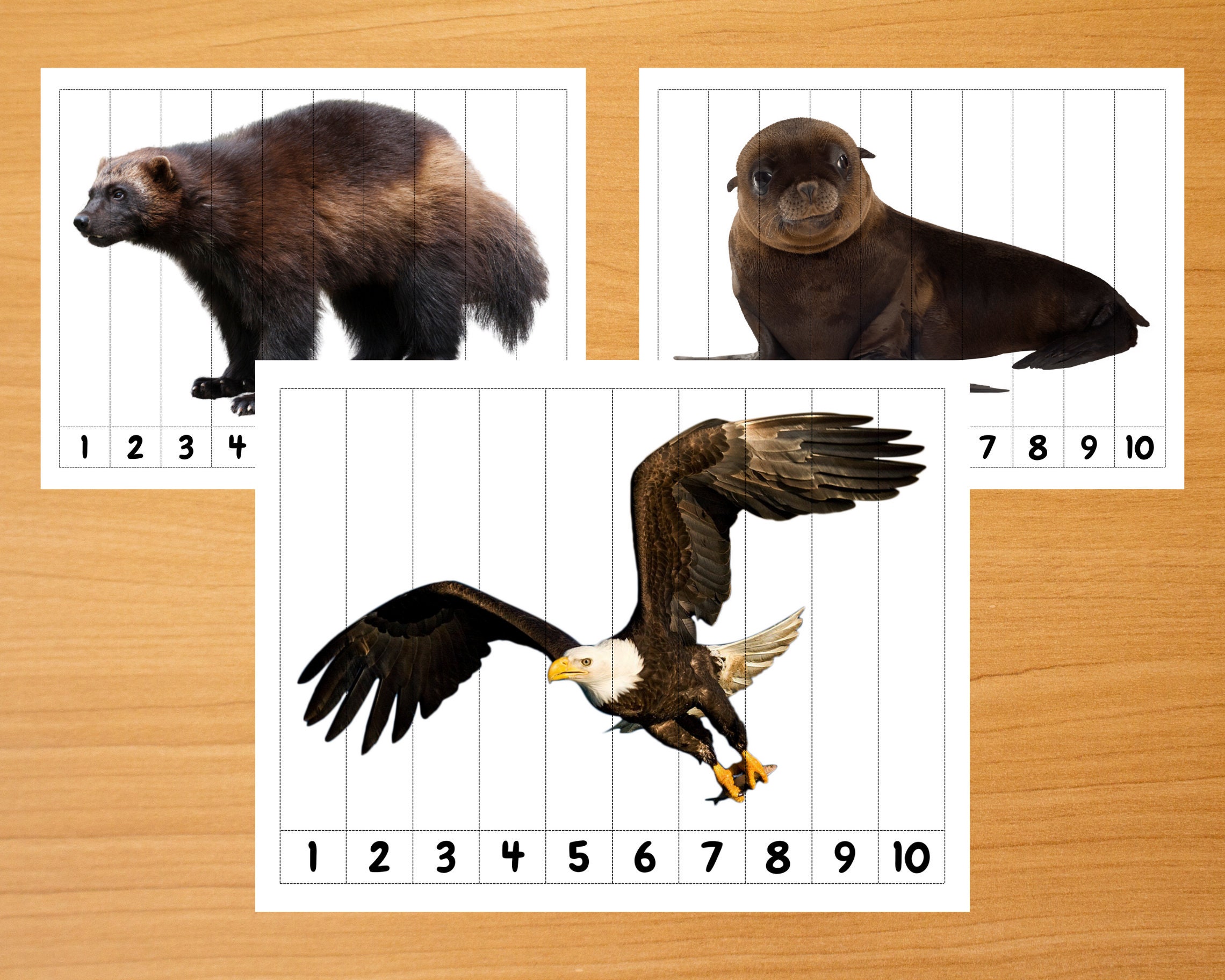 Polar Animals Number Sequence Puzzles Child Inspired Printables Digital ...