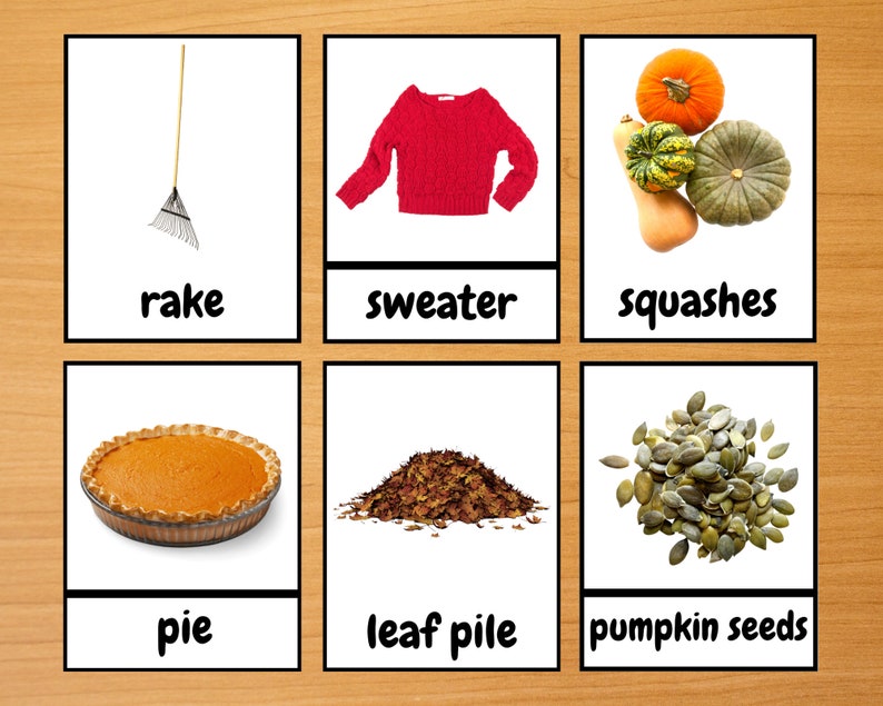 Autumn 3 Part Cards| Child Inspired Printable| Digital Download ...