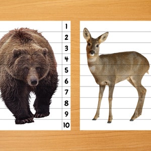 Woodland Animals Number Sequence Puzzles| Child Inspired Printables ...