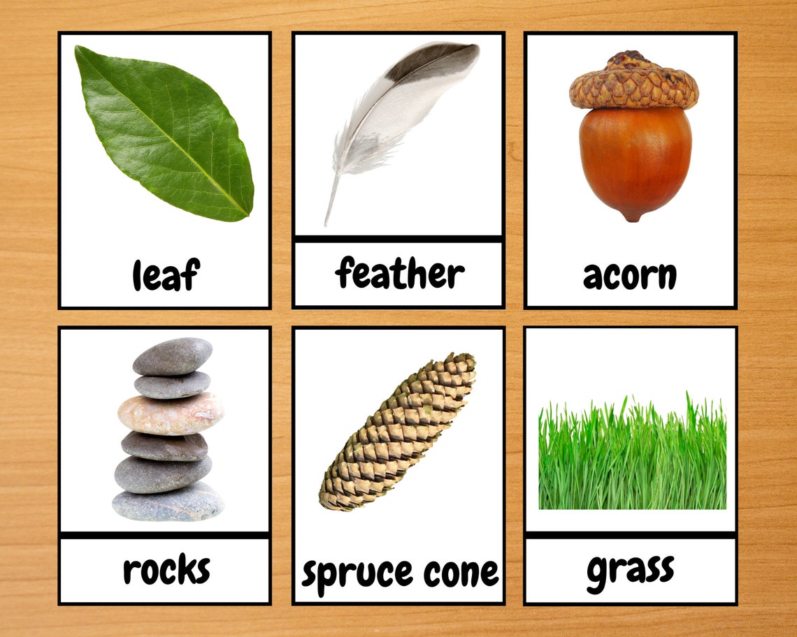 Nature Theme 3 Part Cards Printable Digital Download Montessori ...