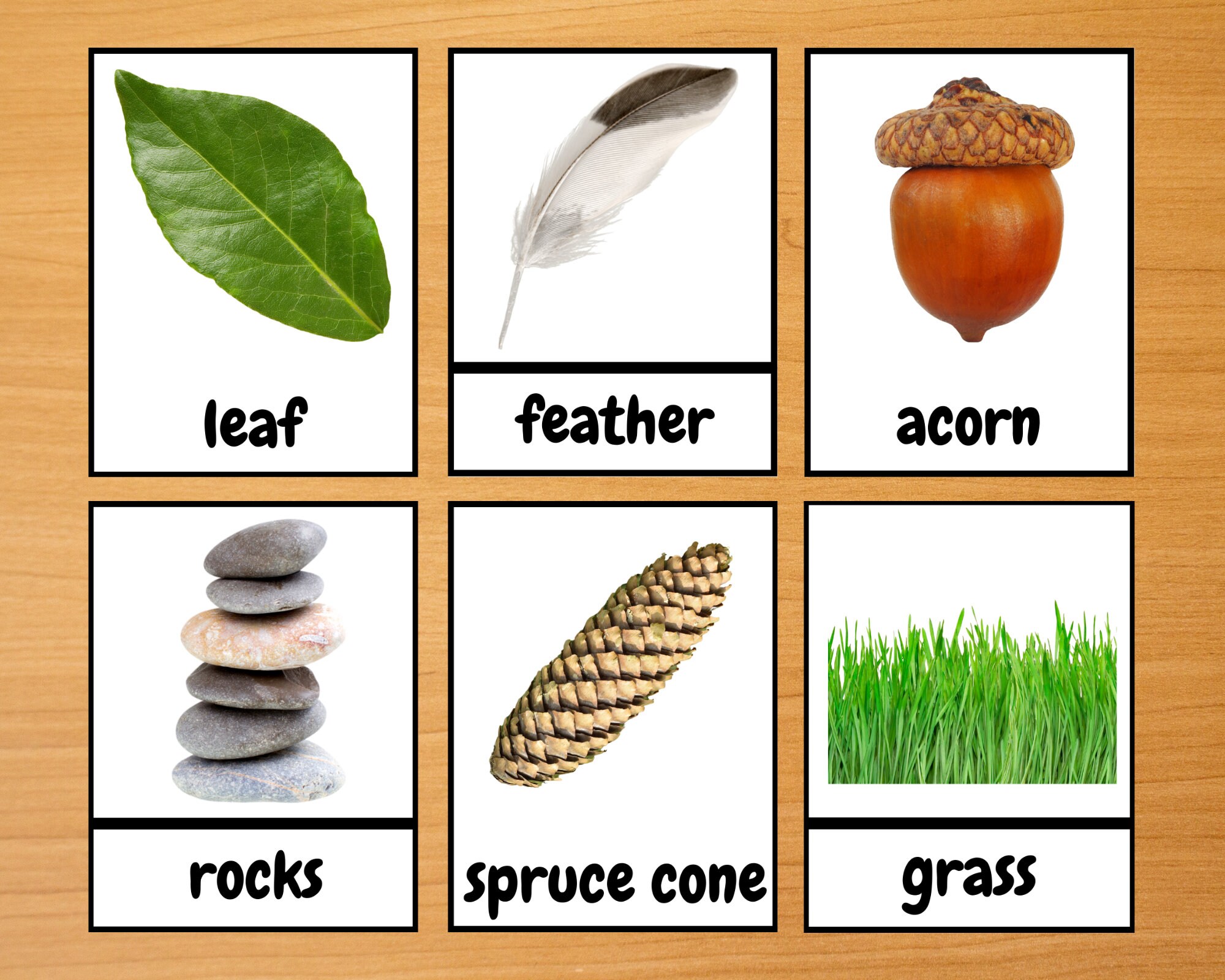 Nature Theme 3 Part Cards| Printable Digital Download| Montessori ...